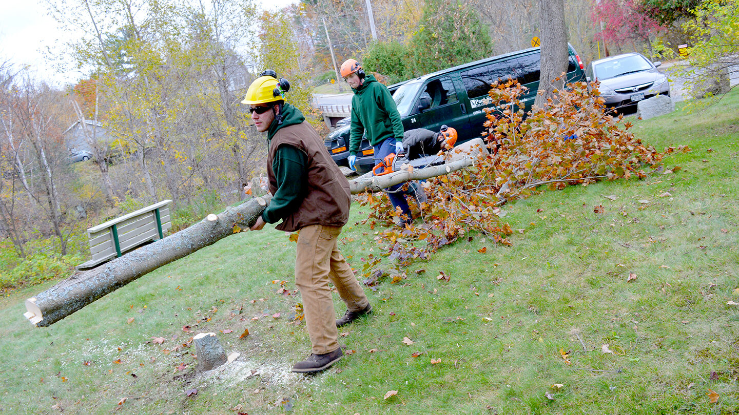 Arboriculture & Landscape Management - Paul Smith's College