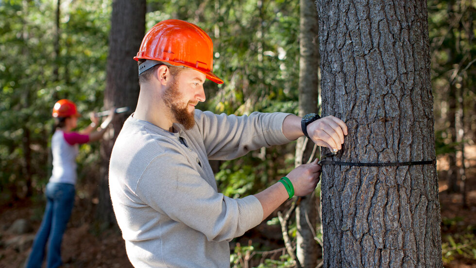 Forestry - Paul Smith's College