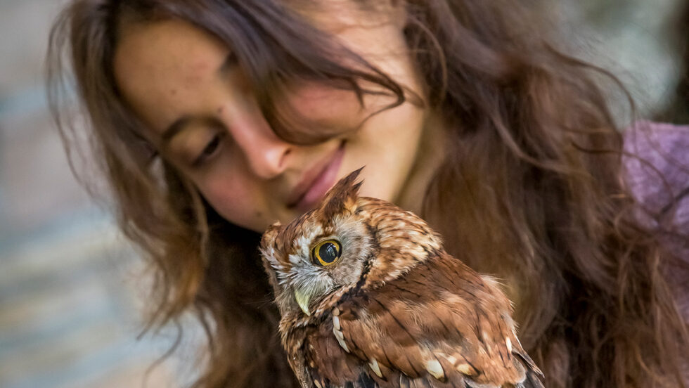 Visitor Interpretive Center (VIC) - Paul Smith's College