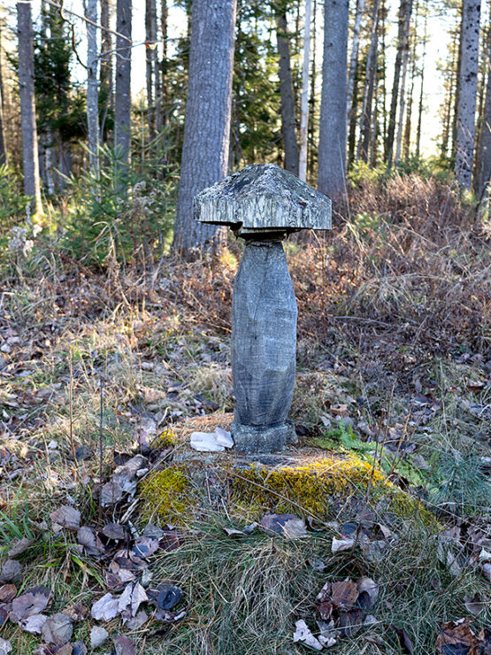 Visitor Interpretive Center (VIC) - Paul Smith's College
