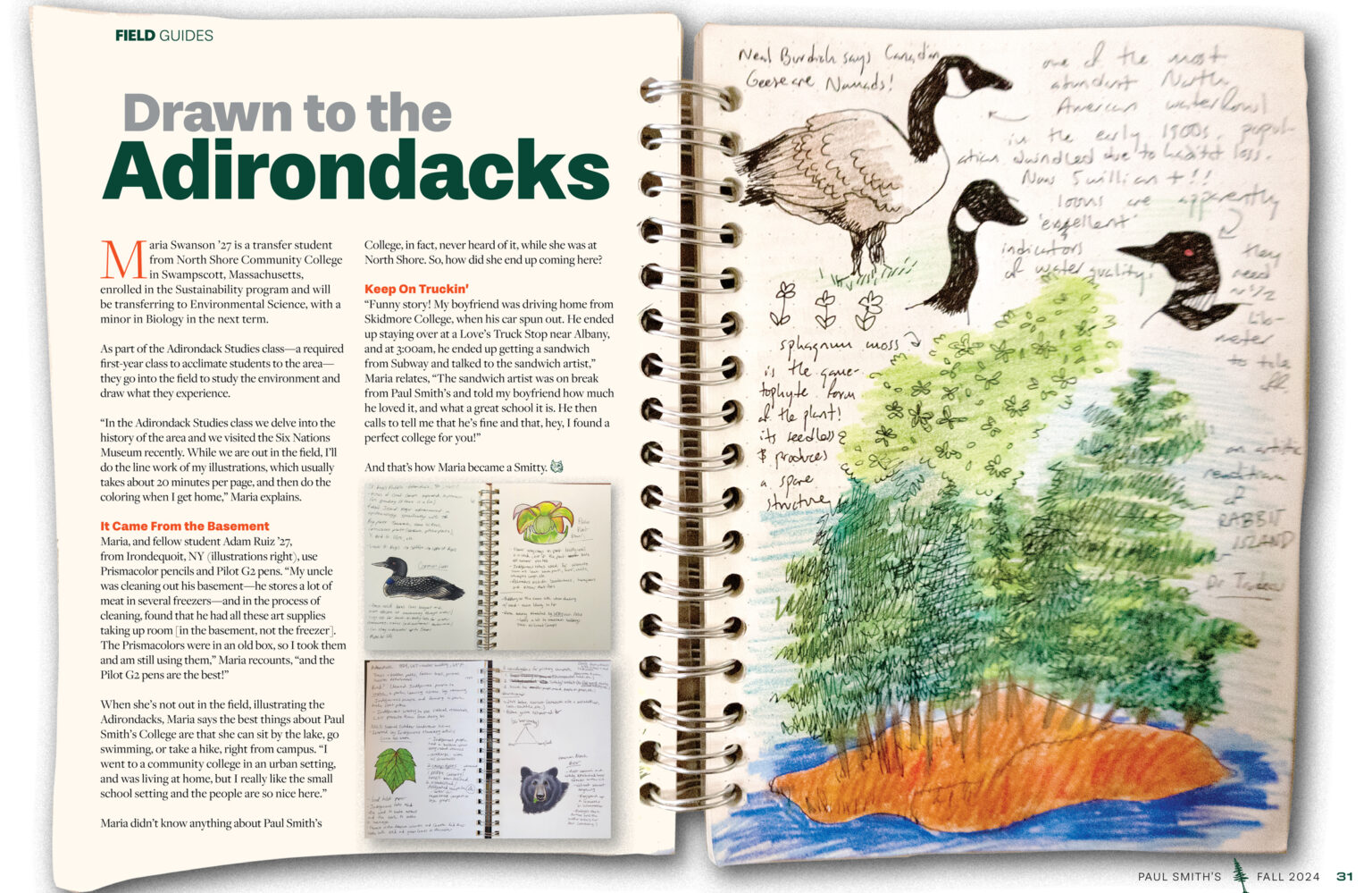 Drawn to the Adirondacks - Paul Smith's College